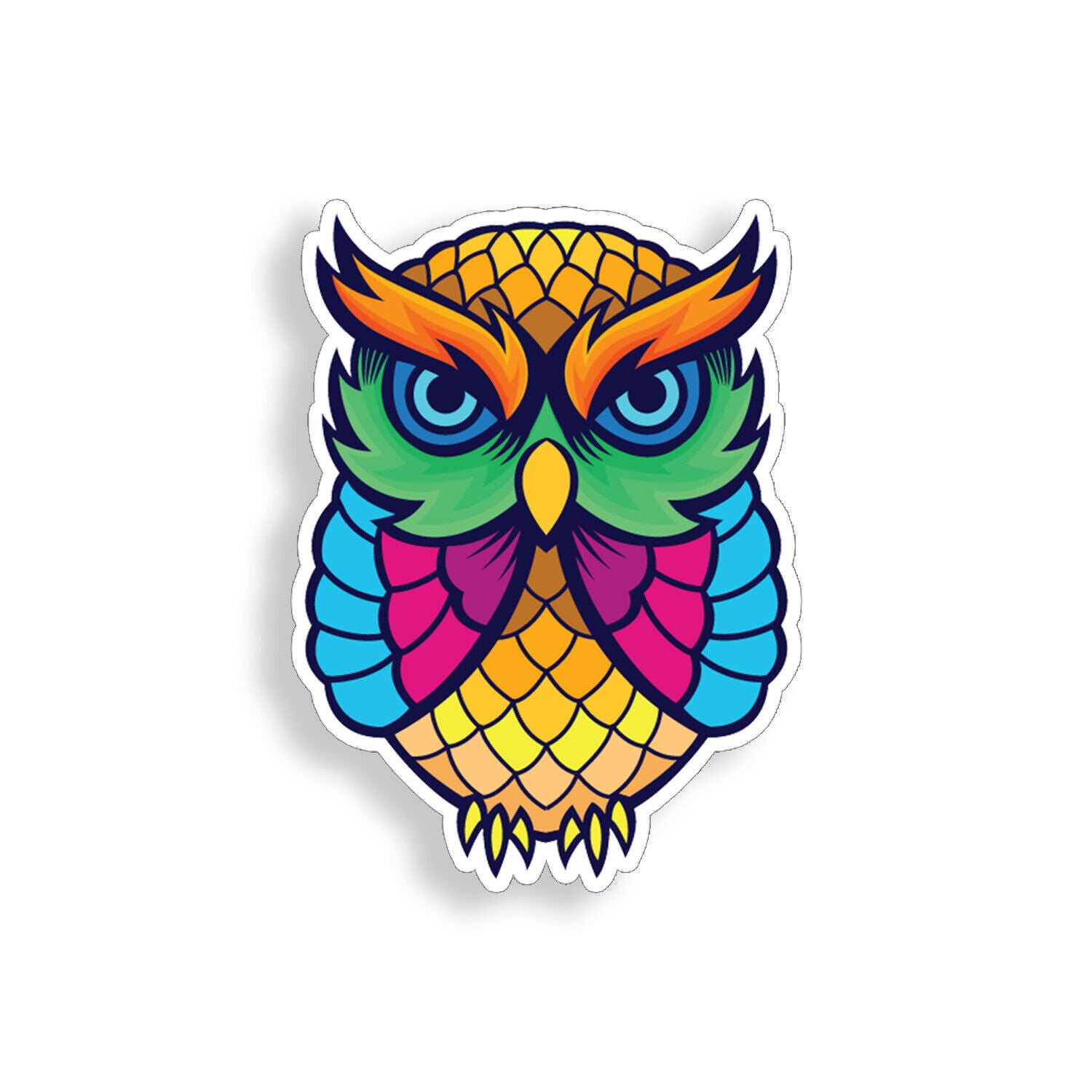 colourful owl